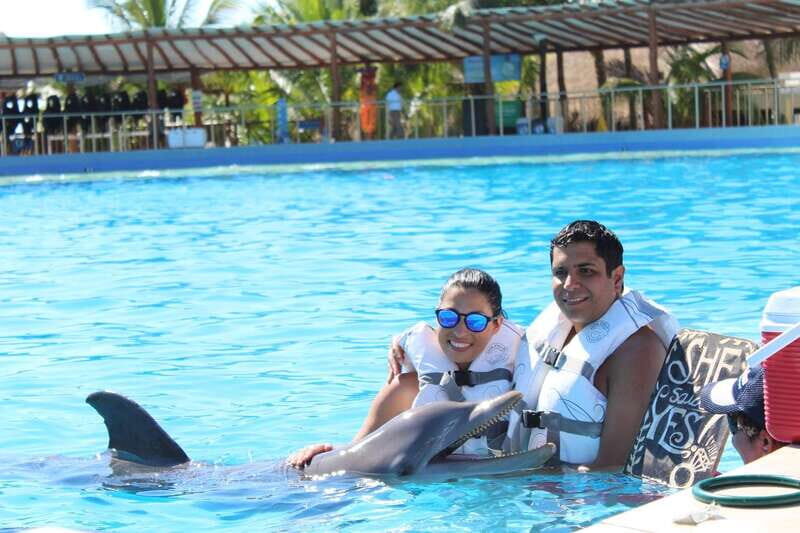 Riviera Maya: Dolphin Encounter with Beach Club Access - The Sum Up