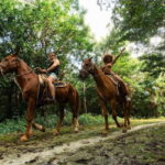 Riviera Maya: Horseback Ride, Zipline, and ATV Adventure - Authentic Feedback from Participants