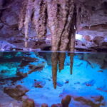 Riviera Maya: Kantun Chi Cenotes, Snorkel & Jungle Hiking - An In-Depth Look at the Tour Experience