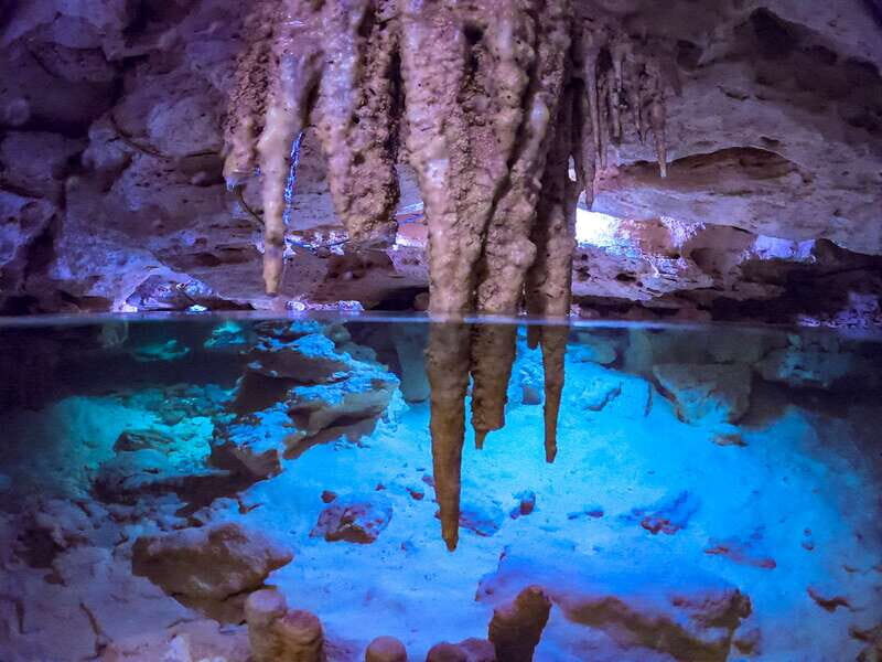 Riviera Maya: Kantun Chi Cenotes, Snorkel & Jungle Hiking - An In-Depth Look at the Tour Experience