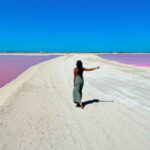 Riviera Maya: Rio Lagartos & Las Coloradas Day Trip w/Lunch - Practical Details and Tips