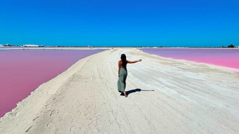 Riviera Maya: Rio Lagartos & Las Coloradas Day Trip w/Lunch - Practical Details and Tips