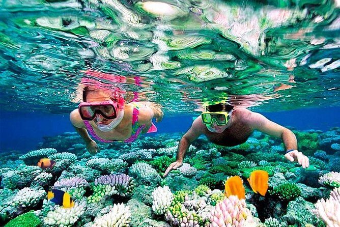 Riviera Maya Snorkeling - Final Thoughts