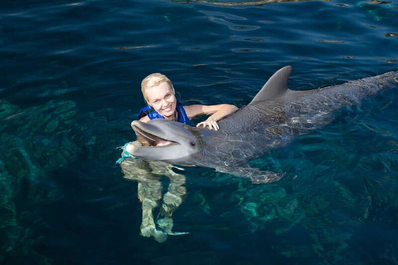 Riviera Maya: Swim with dolphins Interax - Who Would Love This Tour?