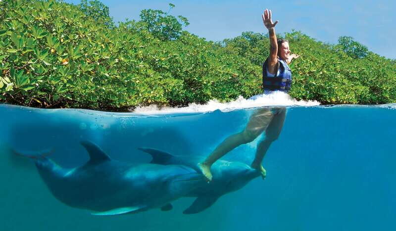 Riviera Maya: Swim with dolphins Primax - The Itinerary Breakdown: What You’ll Experience