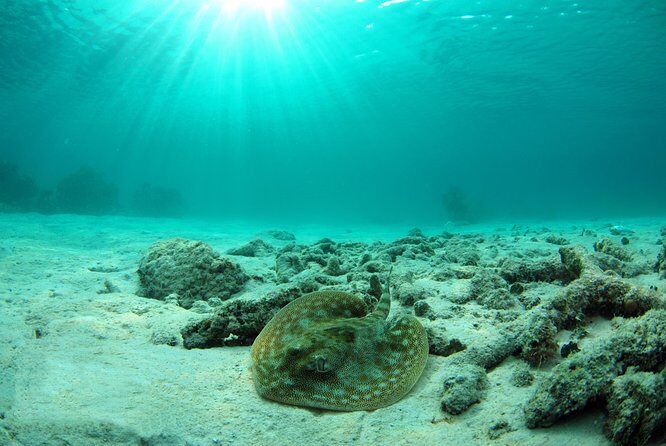 Riviera Maya Ultimate Adventure ATV's Snorkeling & Zip Lines - The Itinerary in Detail