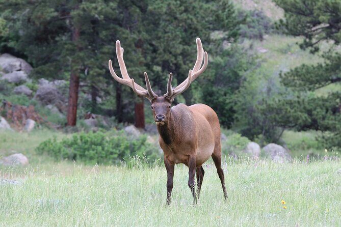 RMNP: Bear Lake Corridor Tour - Who Should Consider This Tour?