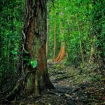 Road to Hana Halfway Tour - The Sum Up: Is This Tour Right for You?