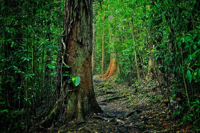 Road to Hana Halfway Tour - The Sum Up: Is This Tour Right for You?