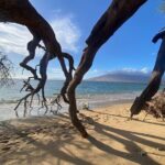 Road to Hana Maui Tours - Who Will Love This Tour?