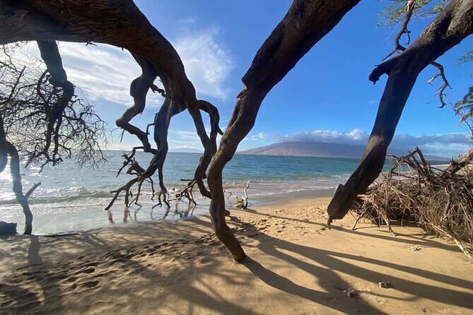 Road to Hana Maui Tours - Who Will Love This Tour?
