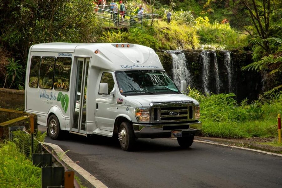Road to Hana: Professional Guide, Food, Swimming, Waterfalls - Value for Money