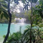 Roberto Barrios Waterfalls from Palenque - What We Like and What to Consider