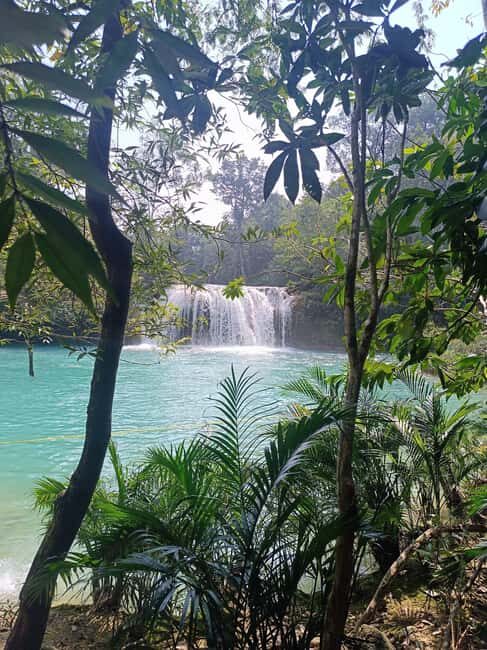 Roberto Barrios Waterfalls from Palenque - What We Like and What to Consider