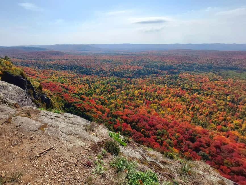Robertson Cliffs: Where Falcons Fly Guided Hike - The Value of This Adventure