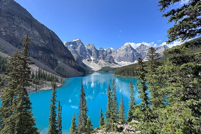 Rockies Day Trip Moraine Lake Lake Louise Peyto Lake and Banff - Authentic Feedback and What to Expect
