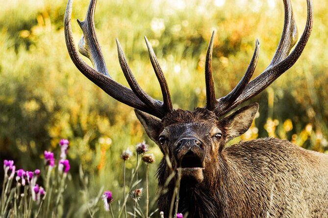 Rocky Mountain National Park- Guided Hiking Tour - The Itinerary: What to Expect