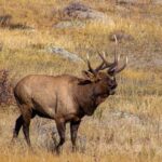 Rocky Mountain National Park Hike - Who Will Love This Tour?