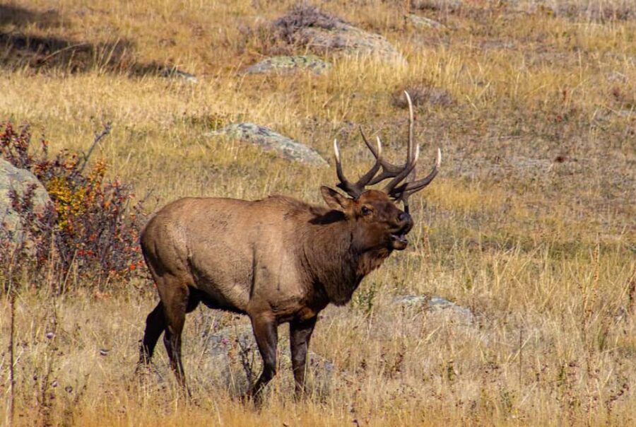 Rocky Mountain National Park Hike - Who Will Love This Tour?