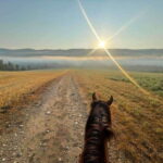 Romantic horseback riding at sunset : La Crépuscule - Who Will Love This Tour?