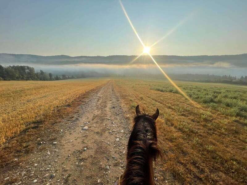 Romantic horseback riding at sunset : La Crépuscule - Who Will Love This Tour?