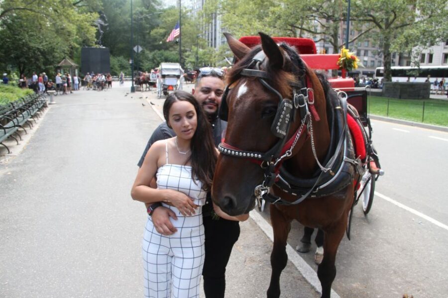 Romantic/Proposal Central Park Carriage Tour Up to 4 Adults - Why This Ride Is Special for Celebrations