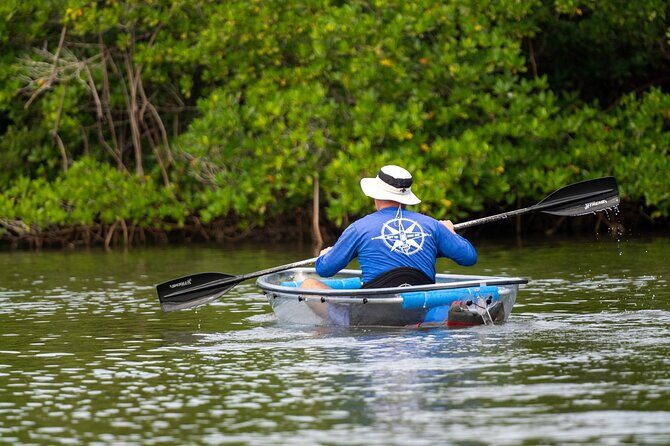 Round Island 2-Hour Glass Bottom Guided Kayak Eco Tour - A detailed look at the itinerary