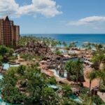 Round Trip Private Transfer Honolulu Airport HNL to Honolulu City - Authentic Feedback and Real-World Use