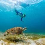 Ruins Sea Turtles and Cenote Adventure in Tulum - Exploring the Tulum Archaeological Site