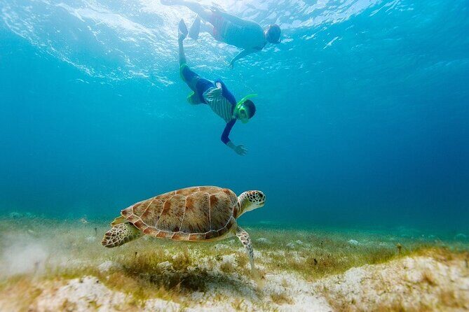 Ruins Sea Turtles and Cenote Adventure in Tulum - Exploring the Tulum Archaeological Site