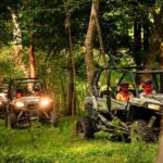RZR through the mountains of Puerto Vallarta perfect for cruisers - The Off-Road Experience: Thrills and Scenic Vistas