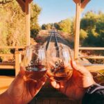 Sacramento: Old Vine Express Train Ride with Wine Tasting - Who Should Consider This Tour?