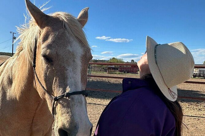 Sacred Horse Medicine Journey near Sedona - The Itinerary Breakdown