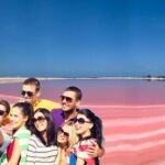 Safari in Rio Lagartos, Coloradas and Mayan Bath - A Deep Dive Into What You Can Expect