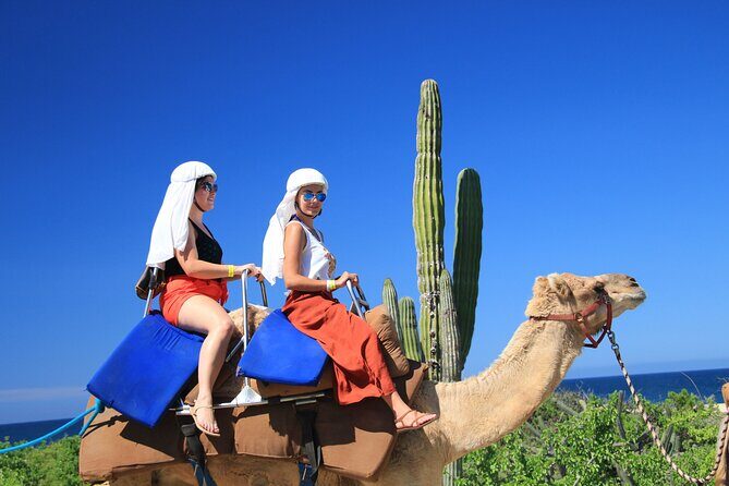 Safari with Camel Caravan to Explore Bajas Nature, Culture and Cuisine - Authentic Experiences and Their Value