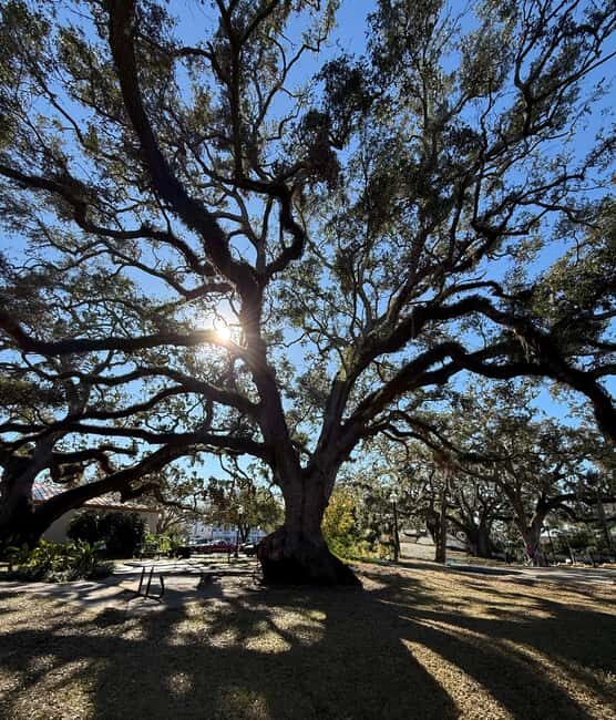 Safety Harbor: Food and Drink Tour with a Local Guide - A Closer Look at the Safety Harbor Food and Drink Tour