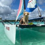 Sail away! Hobie Cat Tour Bacalar - Practical Details and What You Should Know