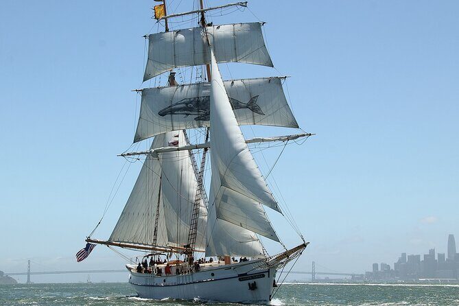 Sail San Francisco Bay on the Historic Brigantine Matthew Turner - Who Should Consider This Tour?