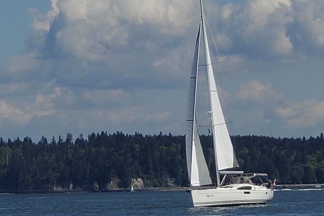 Sailing Experience on a 50 sailboat - Who Should Consider This Tour?