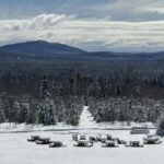 Sainte-Apolline-de-Patton: Guided Wolf Sanctuary Tour - The Guided Tour Experience