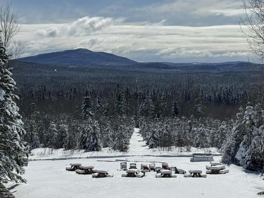 Sainte-Apolline-de-Patton: Guided Wolf Sanctuary Tour - The Guided Tour Experience
