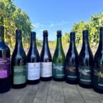 Salinas Valley, CA: Wine tasting experience - The Layout and Experience