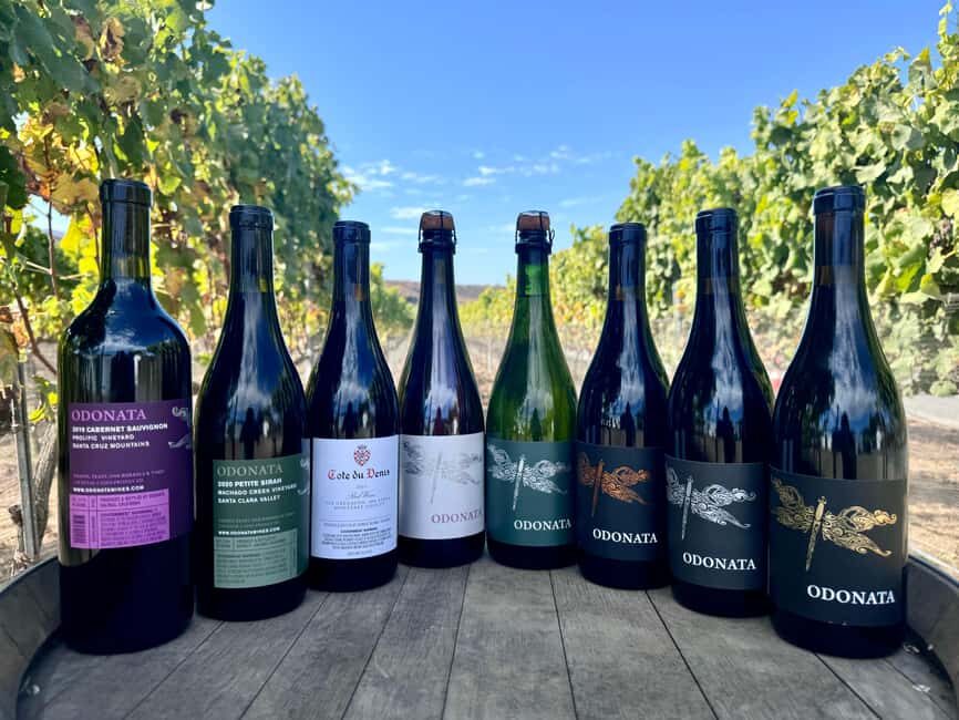 Salinas Valley, CA: Wine tasting experience - The Layout and Experience