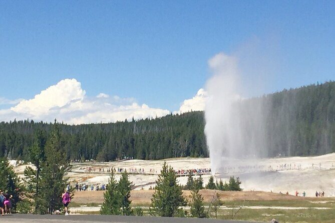 Salt Lake City to Yellowstone and Mt Rushmore 4 Day Tour - What Travelers Say (Based on Reviews)