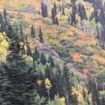 Salt Lake City's Top Guided Hiking Tour with Charcuterie board - Price, Value, and Practicalities