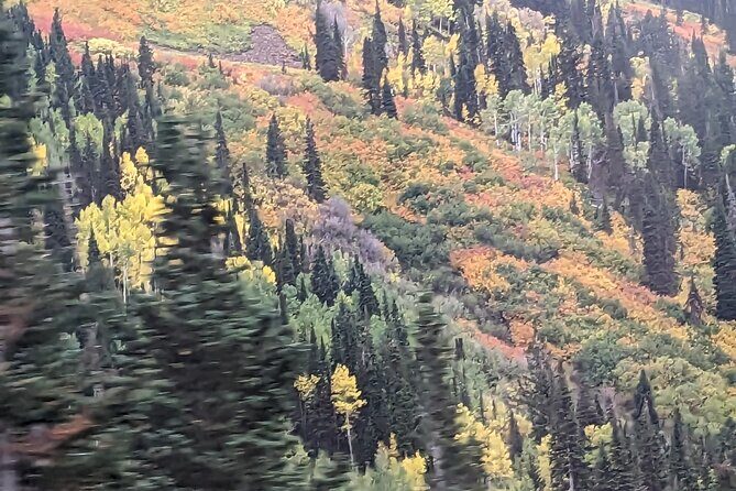 Salt Lake City's Top Guided Hiking Tour with Charcuterie board - Price, Value, and Practicalities
