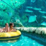 San Antonio: Aquatica Skip-the-Line Park Admission Ticket - What Can You Expect During Your Visit?