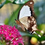 San Antonio: Botanical Garden Admission Ticket - Deep Dive into What to Expect at the Garden