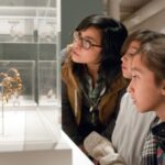 San Antonio: San Antonio Museum of Art Entry Ticket - Accessibility and Practical Details