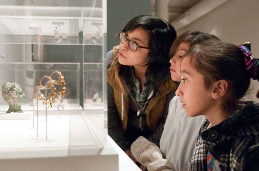 San Antonio: San Antonio Museum of Art Entry Ticket - Accessibility and Practical Details